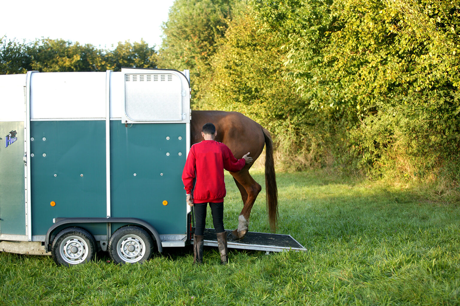 Choosing the Best Truck for Towing Horse Trailers